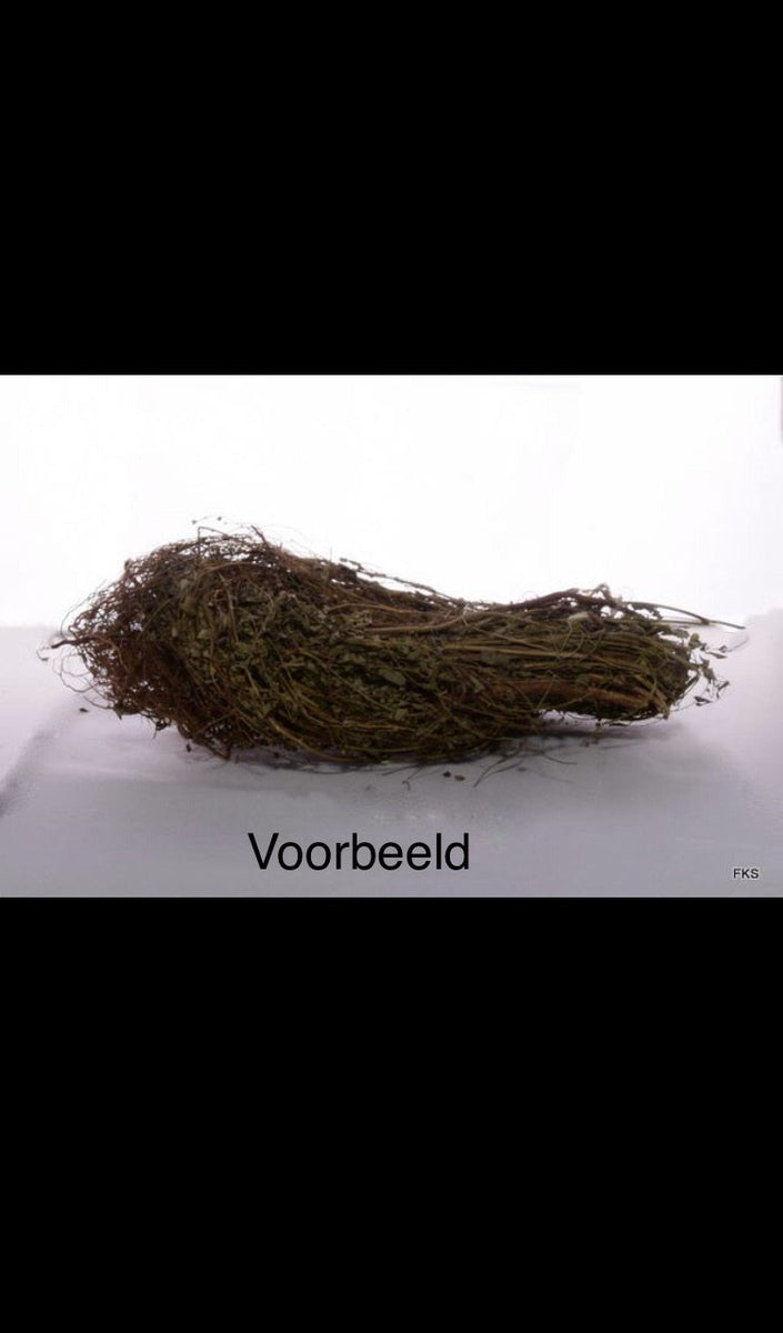 Bakru wiri bakroe wiri – FredKulturu